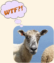 Self-Realization and Clear-Mindedness - The Practical Way (Home Page)